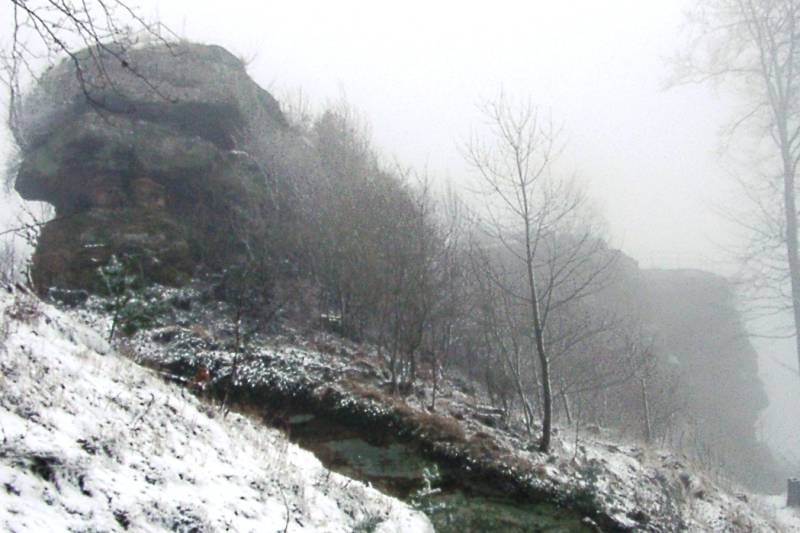 Château de Loewenstein à Wingen